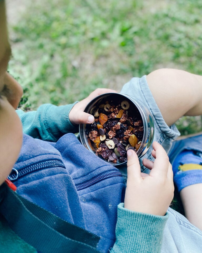 Healthy Nut-Free Trail Mix with Granola (Easy Recipe To Try)